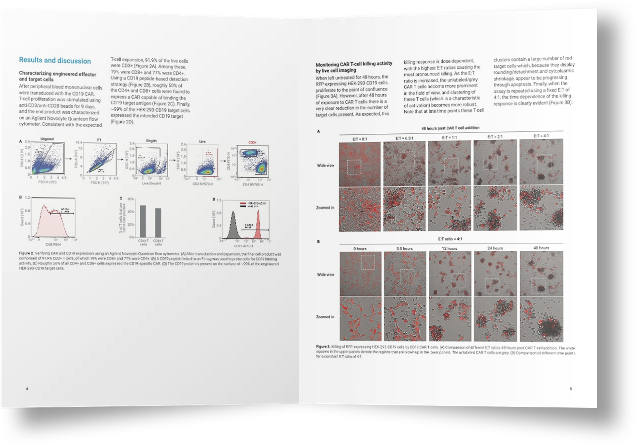Real-Time Potency Assay for CAR T Cell Killing of Adherent Cancer Cells