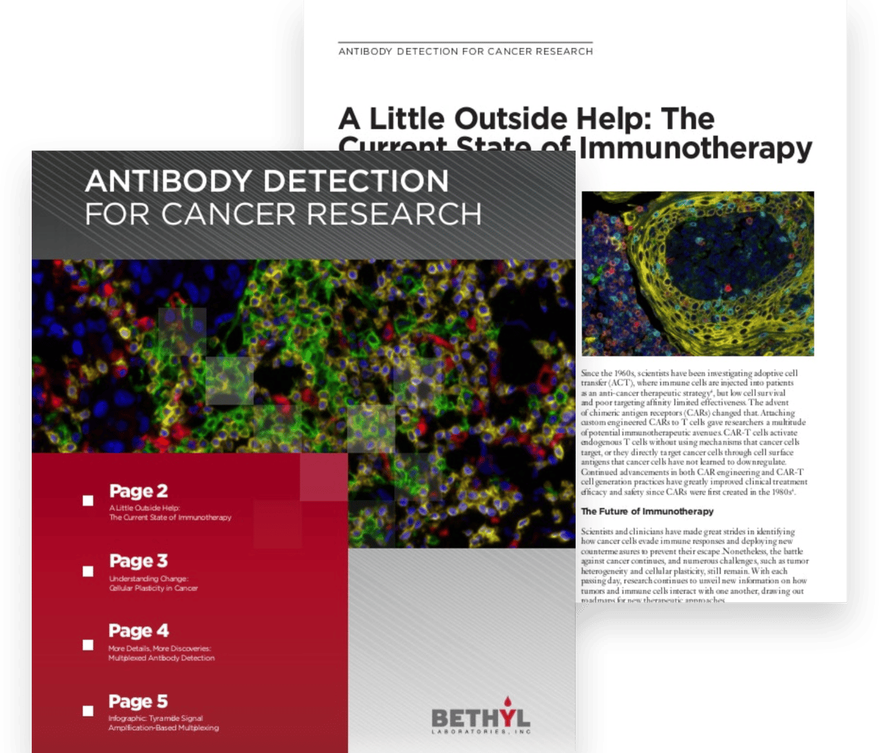 Antibody Detection for Cancer Research