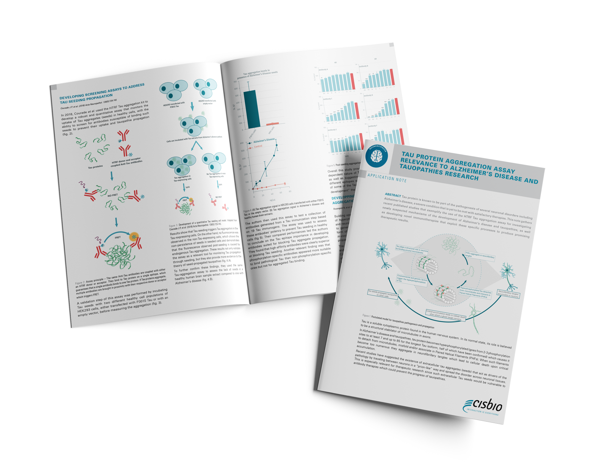 TAU Protein Aggregation Assay Relevance to Alzheimer’s Disease and ...