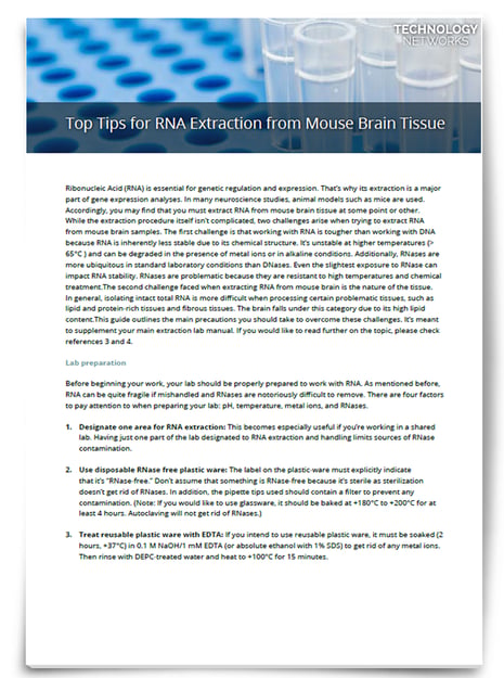 Top Tips for RNA Extraction from Mouse Brain Tissue [How to Guide]