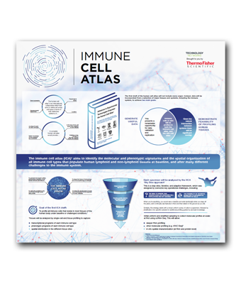 Immune Cell Atlas [Infographic]