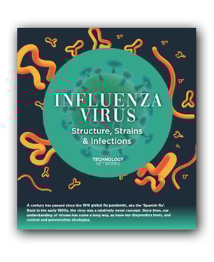 Influenza Virus: Structure, Strains & Infections [Infographic]