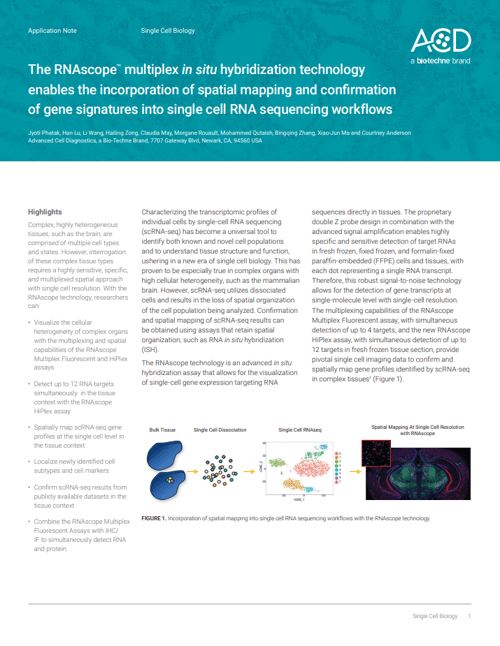 RNAscope™ multiplex in situ hybridization technology