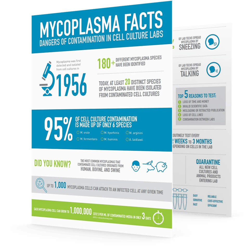 Mycoplasma Facts: Dangers of Contamination in Cell Culture Labs