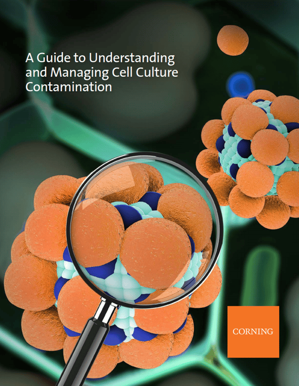 Understanding and Managing Cell Culture Contamination