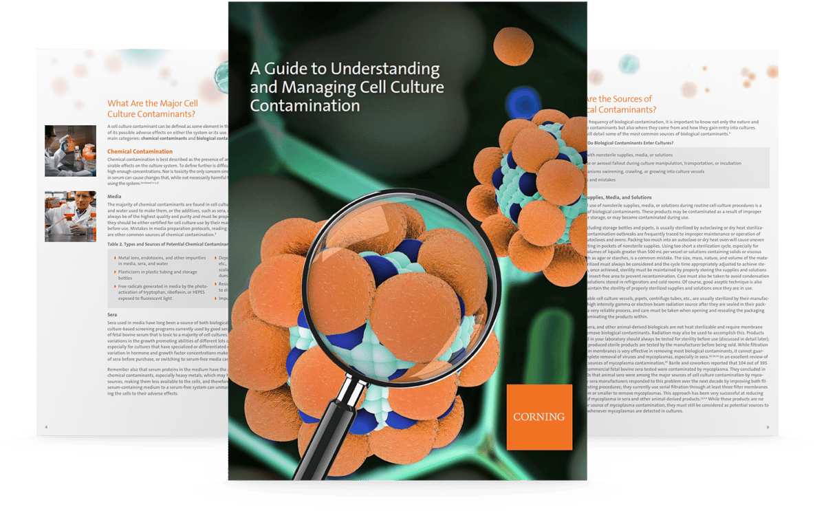 Understanding and Managing Cell Culture Contamination