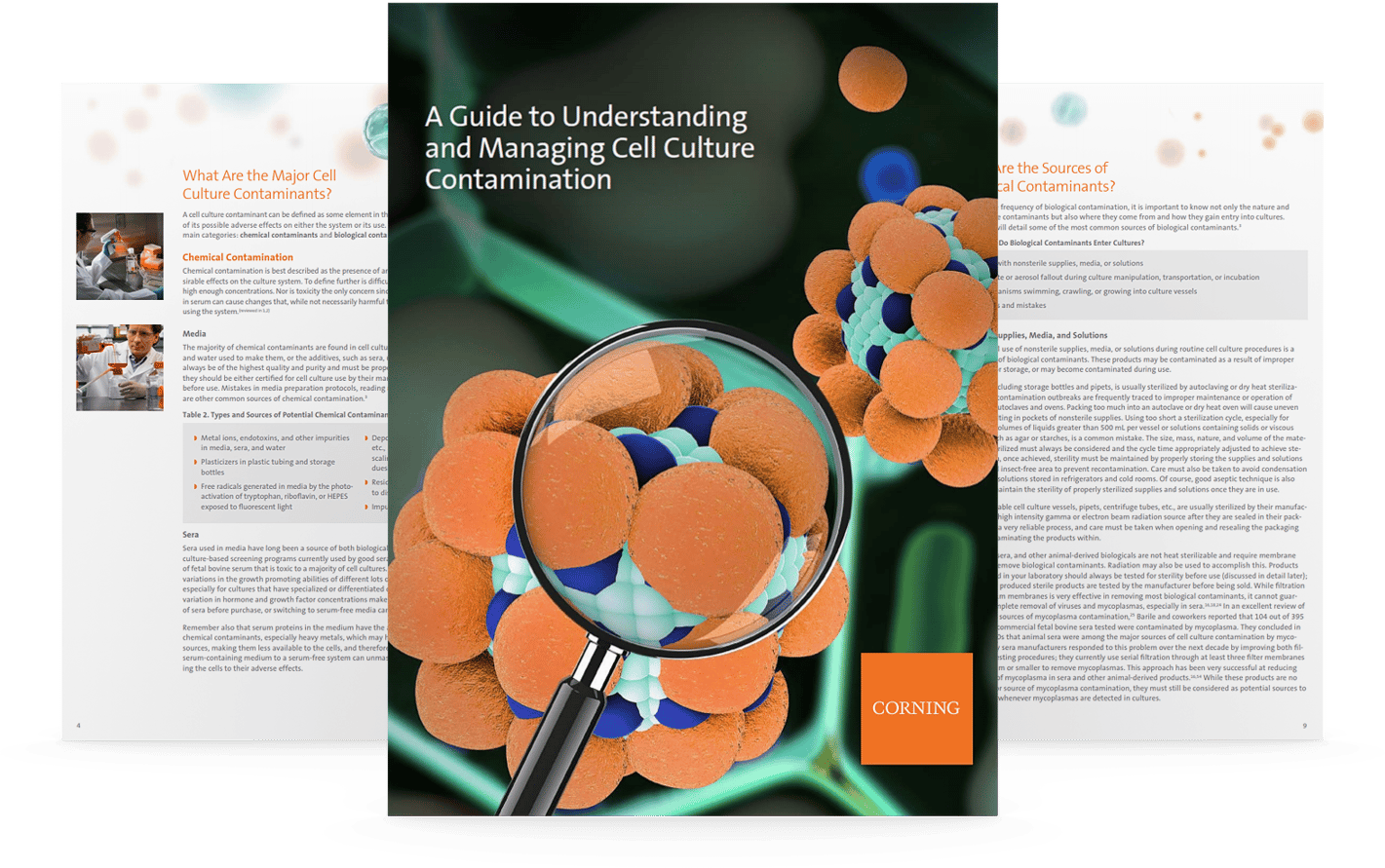 Understanding and Managing Cell Culture Contamination