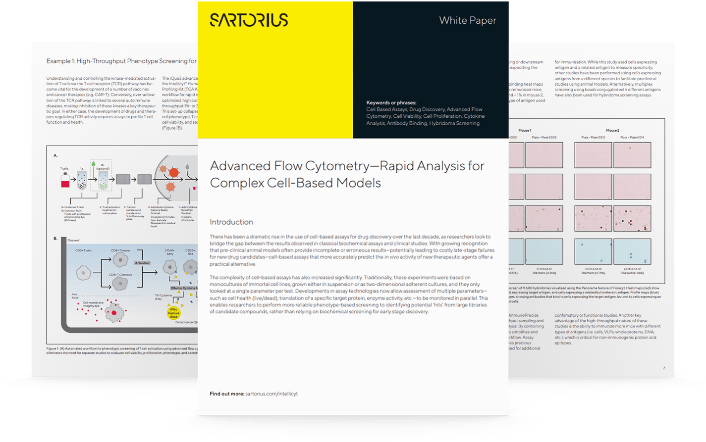 Advanced Flow Cytometry — Rapid Analysis for Complex Cell-Based Models
