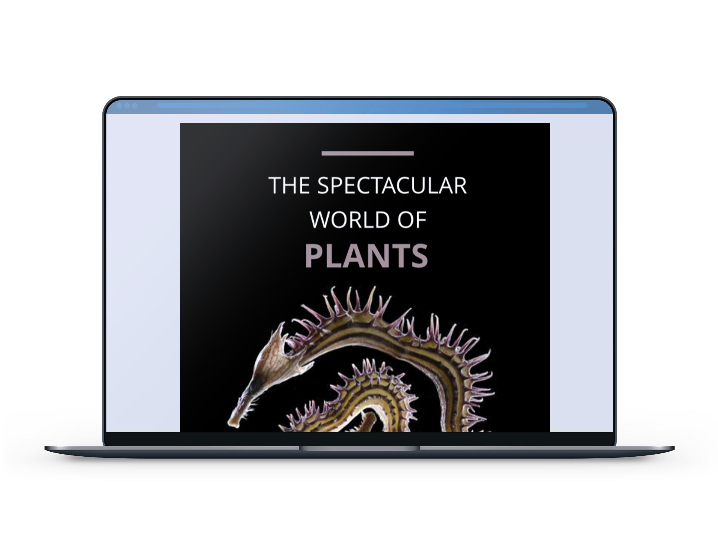 The Spectacular World of Plants [Flipbook]