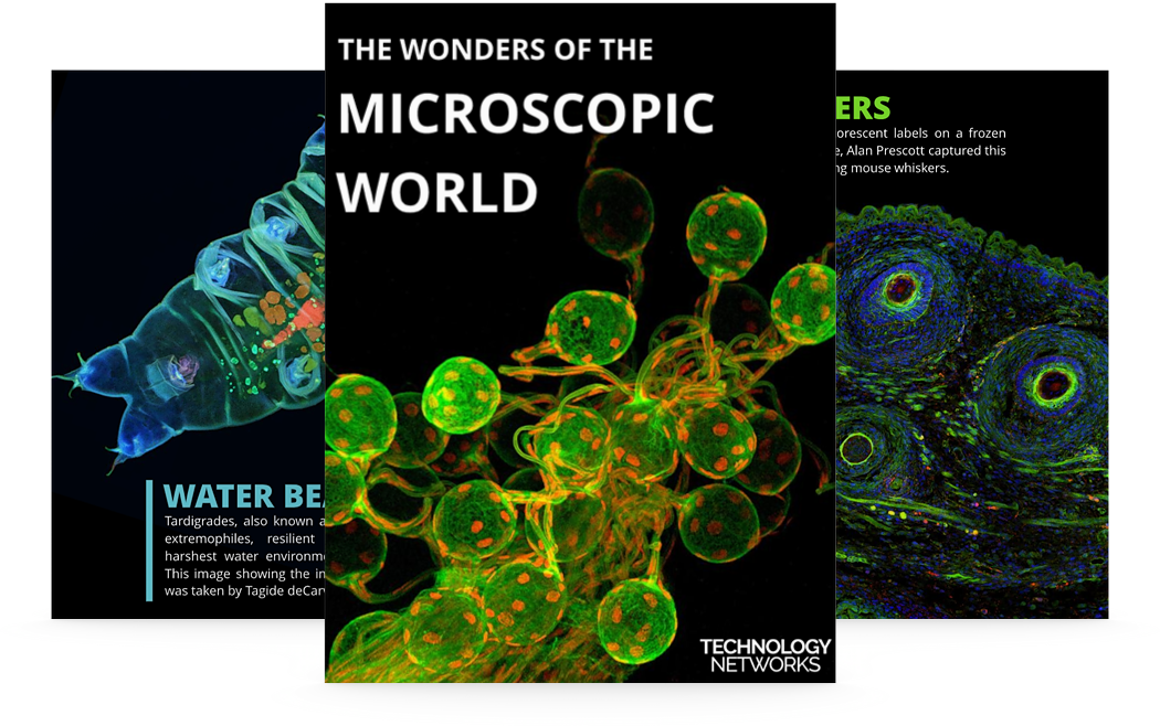 The Wonders of the Microscopic World