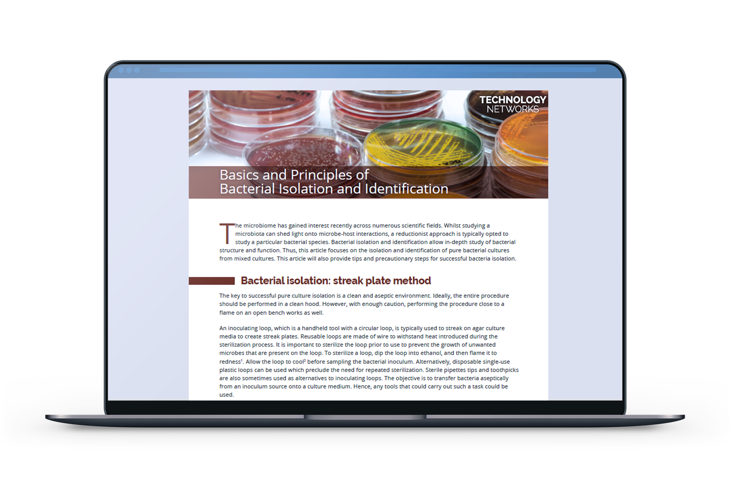 Basics and Principles of Bacterial Isolation and Identification [Guide]