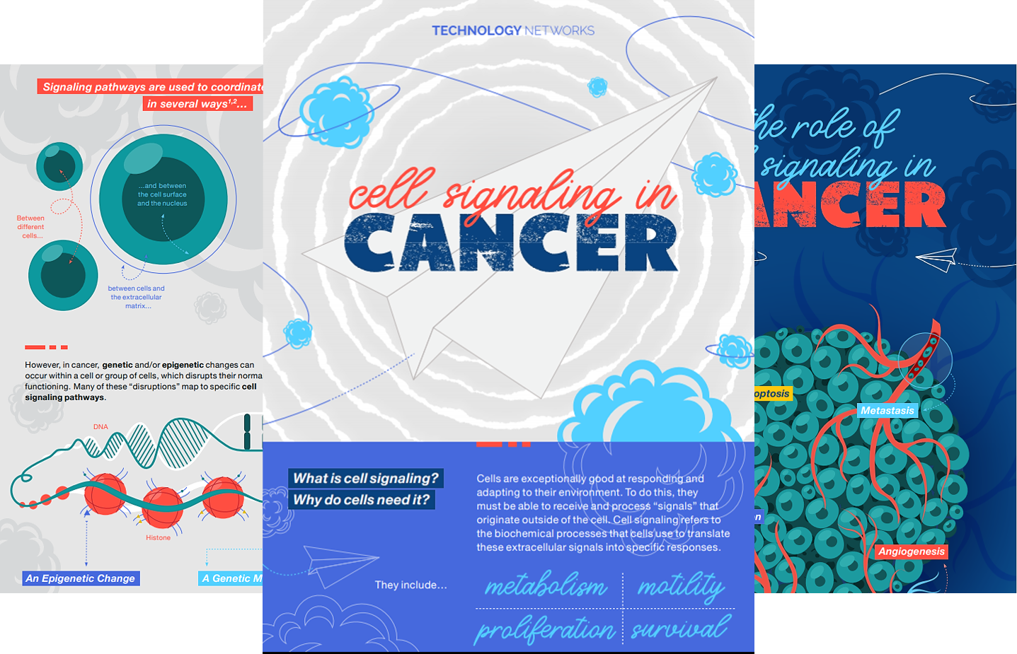 Cell Signaling in Cancer