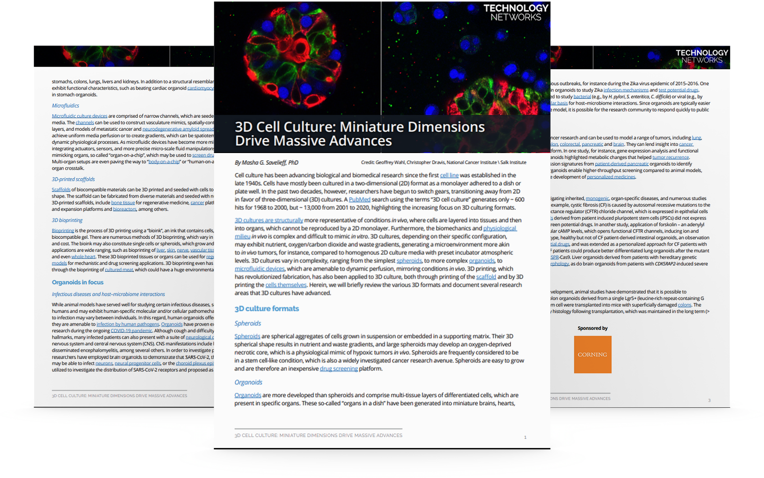 3D Cell Culture: Miniature Dimensions Drive Massive Advances