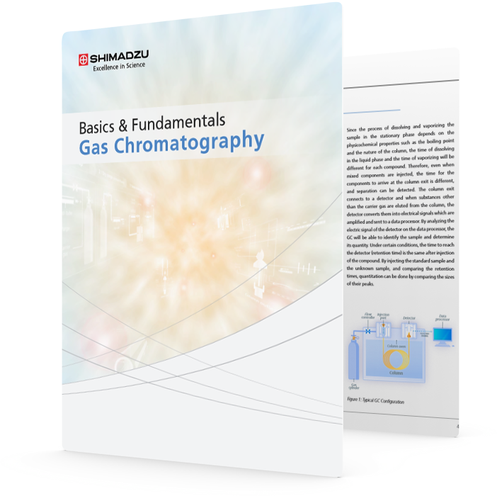 Basics & Fundamentals Gas Chromatography