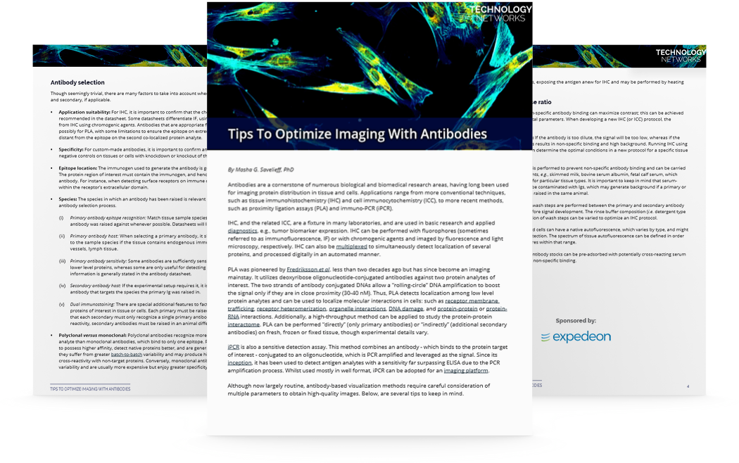 Tips To Optimize Imaging with Antibodies
