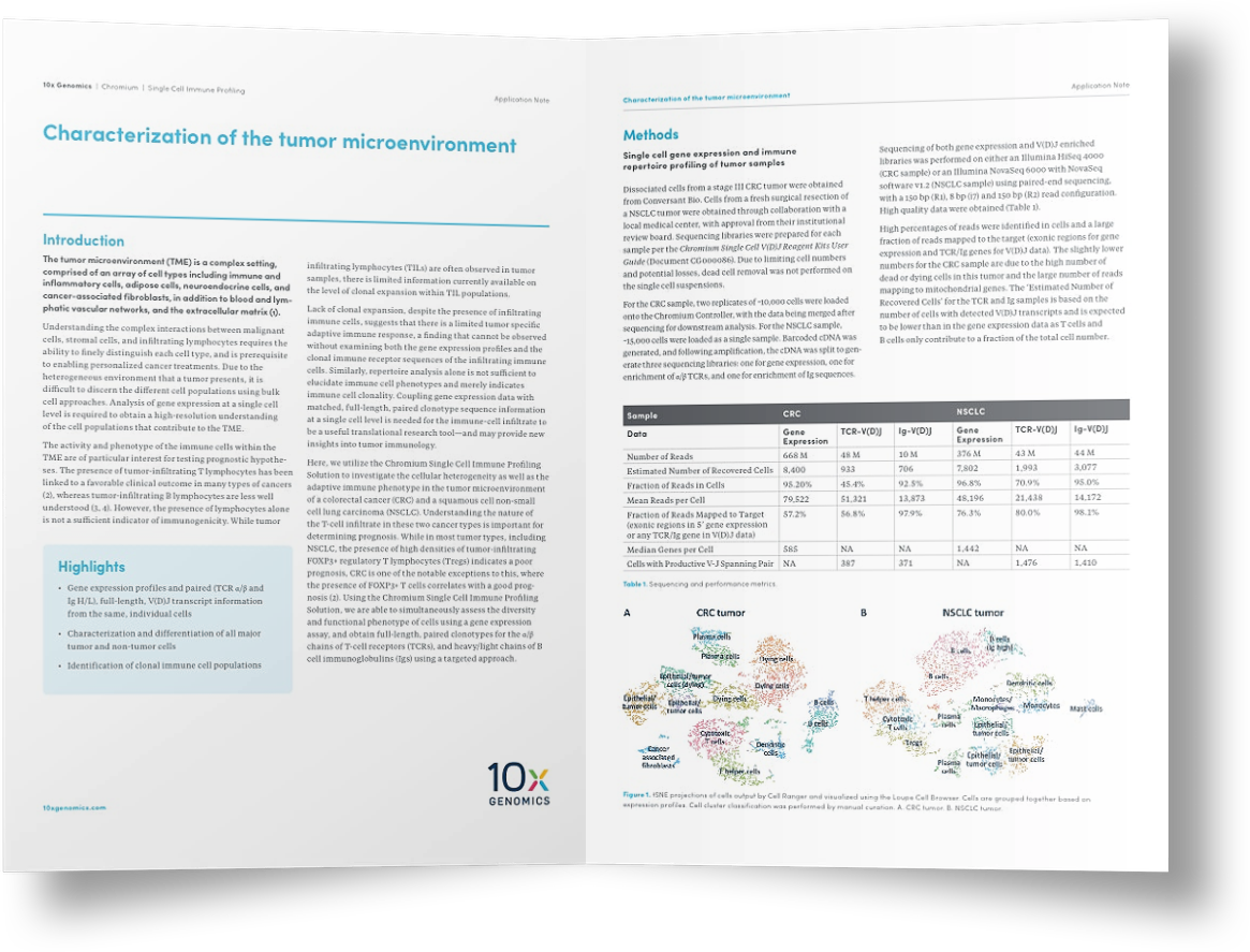 Characterization of the Tumor Microenvironment