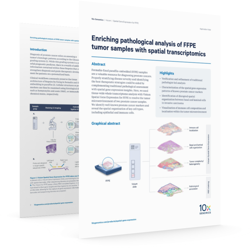 Enriching Pathological Analysis of FFPE Tumor Samples With Spatial ...