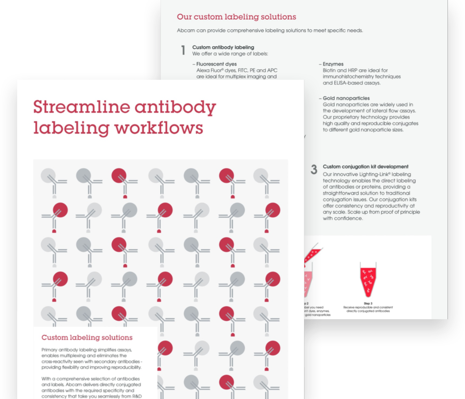 Streamline Antibody Labeling Workflows