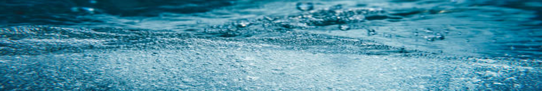 Volatile Organic Compounds Analysis in Drinking Water