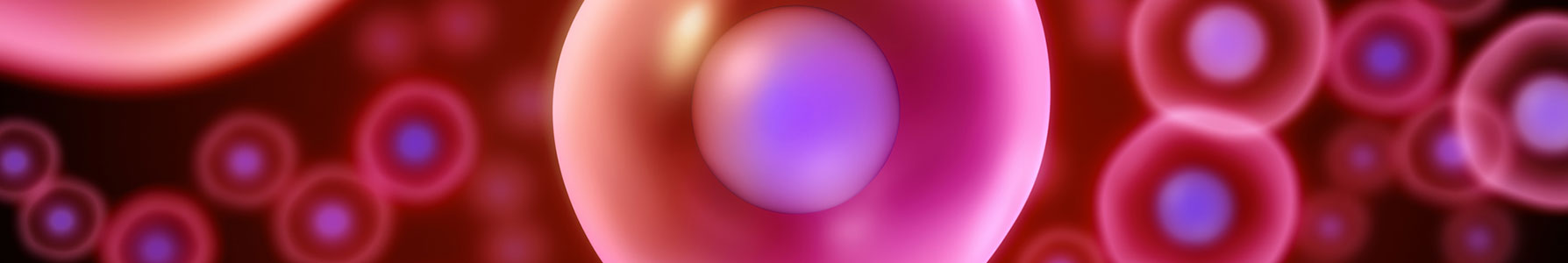 Imaging Protocol Handbook