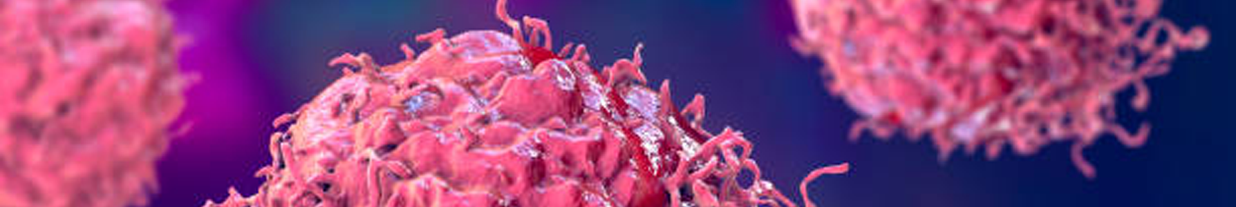 High Resolution Mapping of the Breast Cancer Tumor Microenvironment