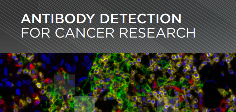 Antibody Detection for Cancer Research