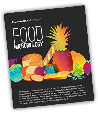 Stunning Images from Microscopy [Image Gallery]