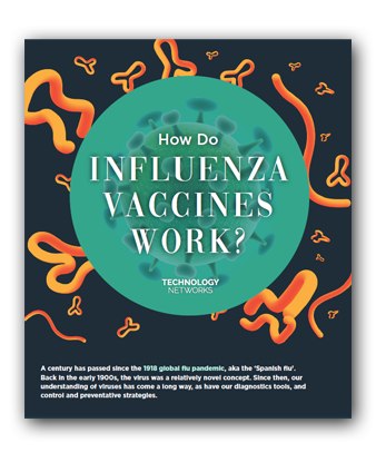 How Do Influenza Vaccines Work [Infographic]