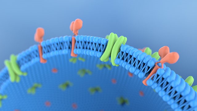 Optimized Expression of Membrane Proteins: New Tools for Difficult To ...
