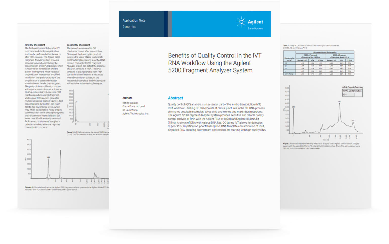 Benefits of Quality Control in the IVT RNA Workflow