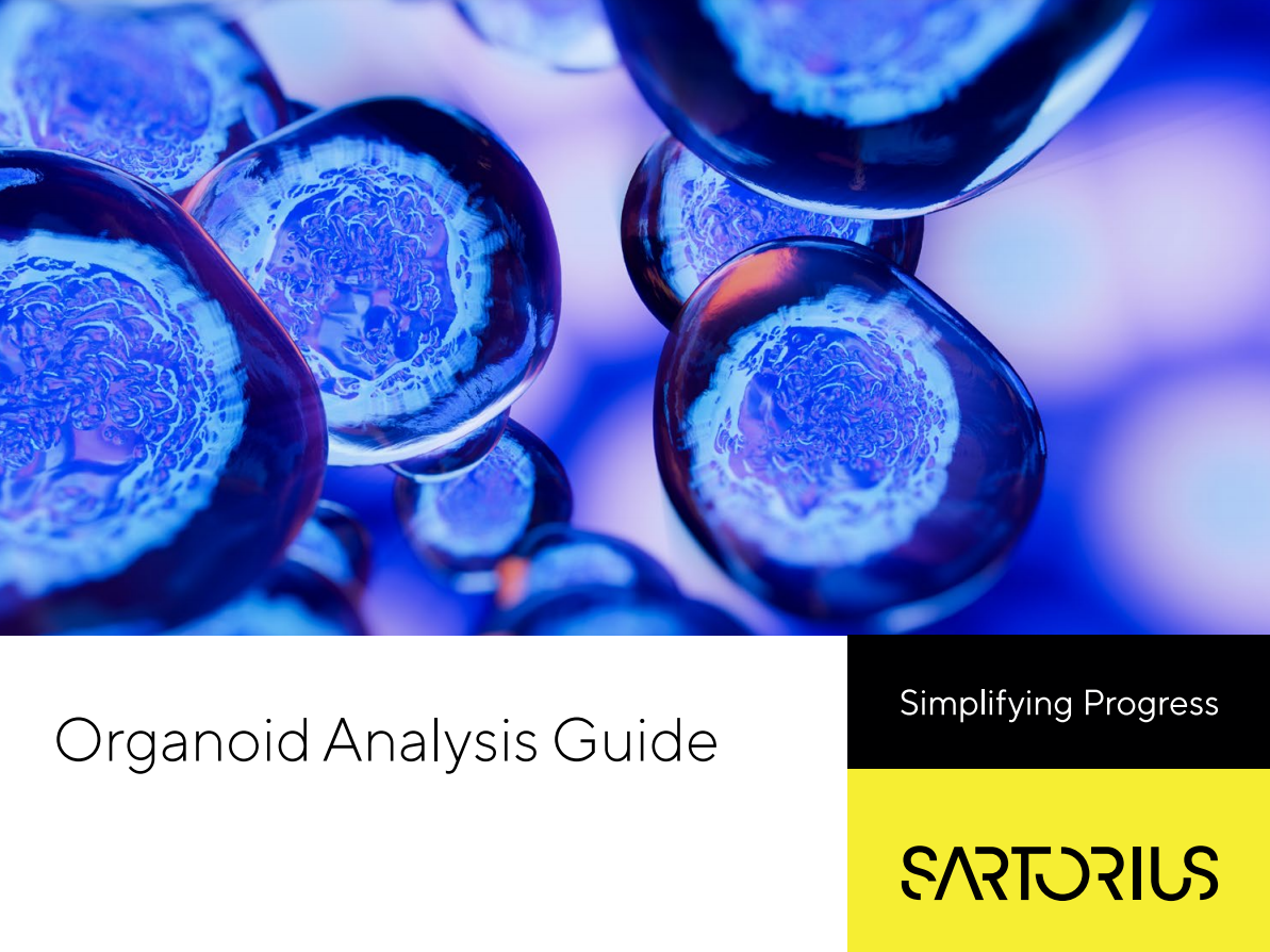 Organoid Analysis Guide