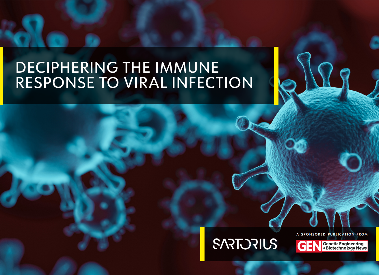 Deciphering the Immune Response to Viral Infection