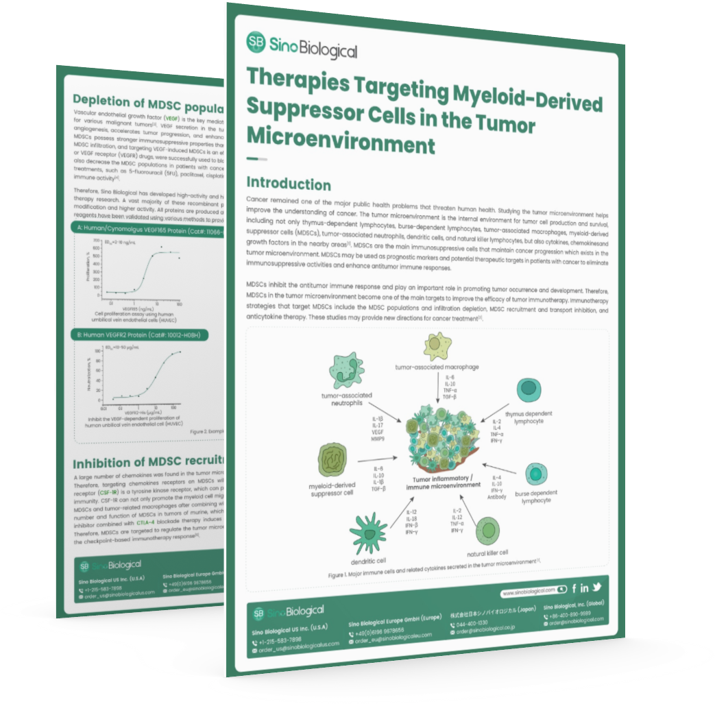 Therapies Targeting Myeloid-Derived Suppressor Cells in the Tumor ...