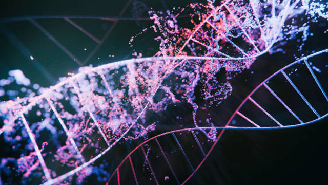 Real-Time PCR Biopharma Resources