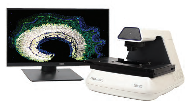 Selection Guide for EVOS Objectives