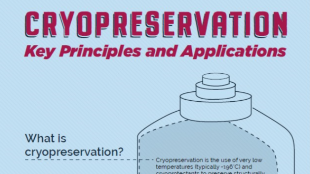 Cryopreservation: Key Principles and Applications