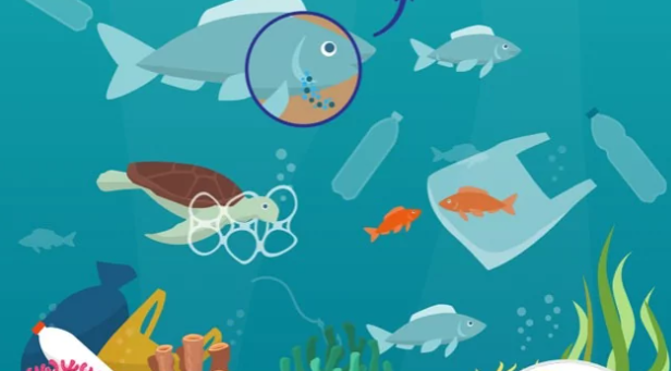 Microplastic Detection