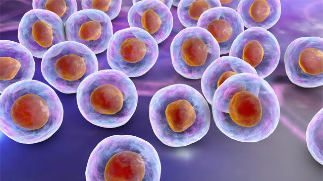 A Closer Look at Biomanufacturing