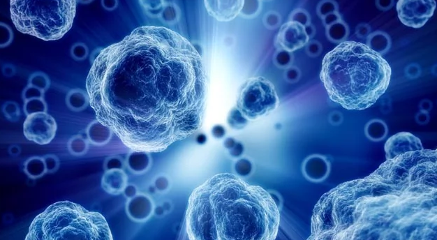 Advances in Cancer Research