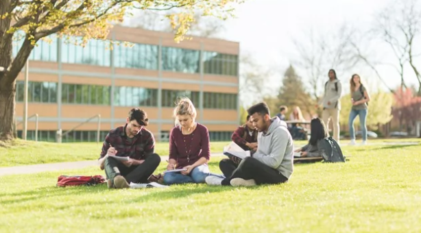 Graduate School Survival Guide [eBook]