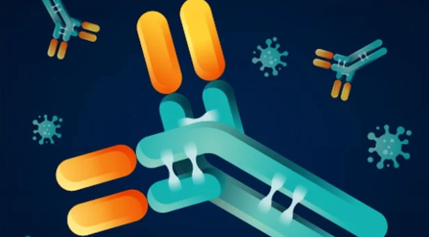 Introducing the Antibody